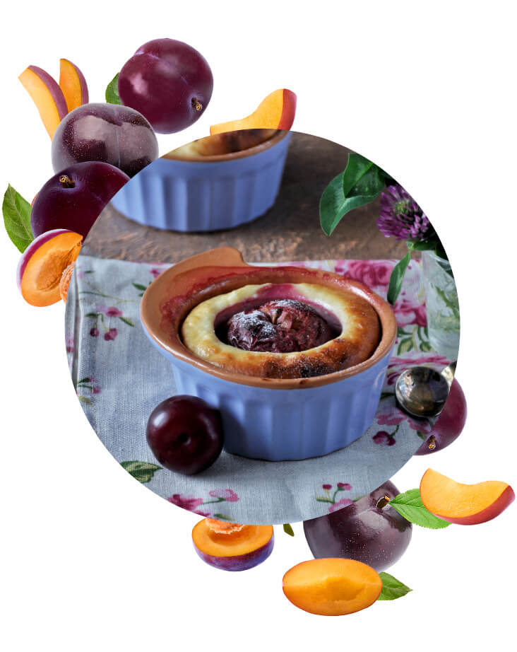 Fruits From Chile - Plums
